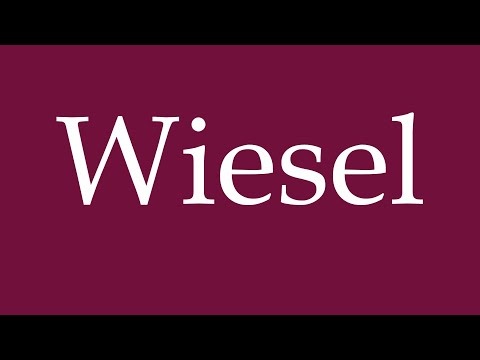 How to Pronounce ''Wiesel'' (Weasel) Correctly in German