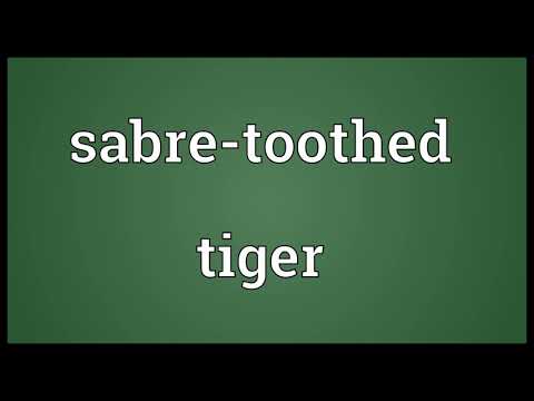 Sabre toothed tiger Meaning