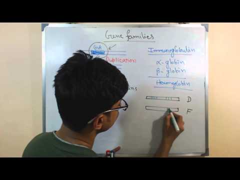 Gene families