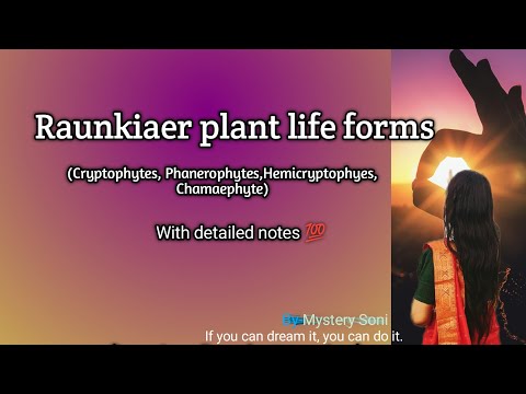 Raunkiaer plant life forms | Classification | Phanerophytes | Hemicryptophyes | Chamaephyte |