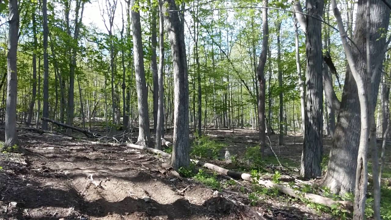 How to get a quality logging job - Consulting Forester PA