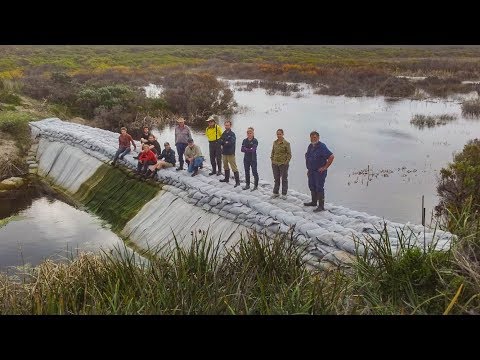 Wetland restoration case studies. Discovery Bay Coast SA/Vic. Mark Bachmann