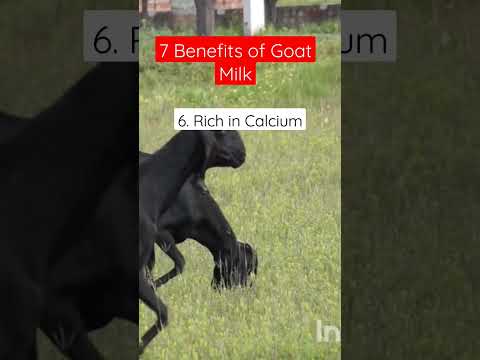 Top Benefits of Goat Milk #shorts
