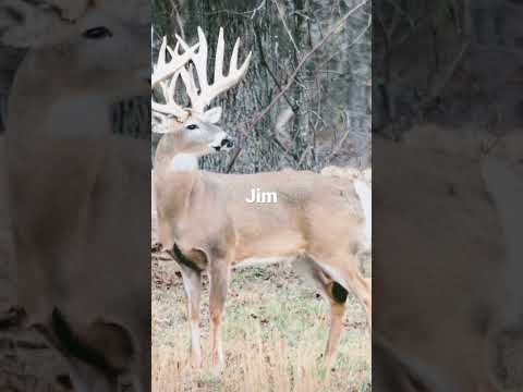 Giving Big Bucks Names