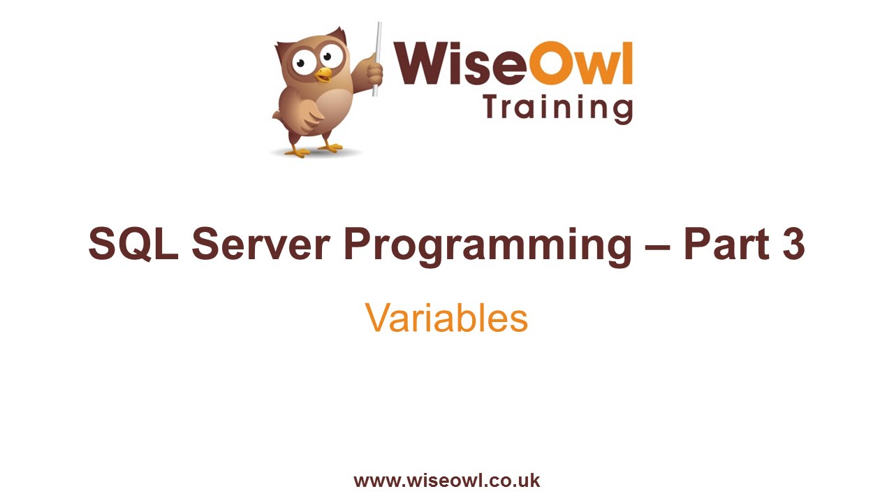 SQL Server Programming Part 3 - Variables