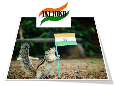Meaning of Jai Hind| Jai Hind issue in TN| Ignorance about Jai Hind