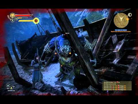 Steam Community :: Video :: Witcher 2: Troll killer