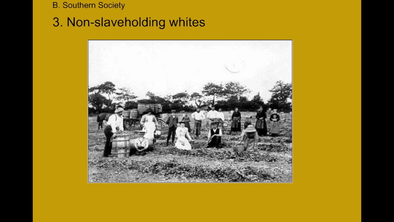 PPT - Slavery and Abolition