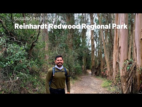 Reinhardt Redwood Regional Park | Stream, Redwood Peak, ... | GoPro Footage