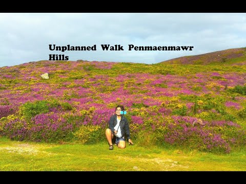 Upland Walk Penmaenmawr l TitaPatC