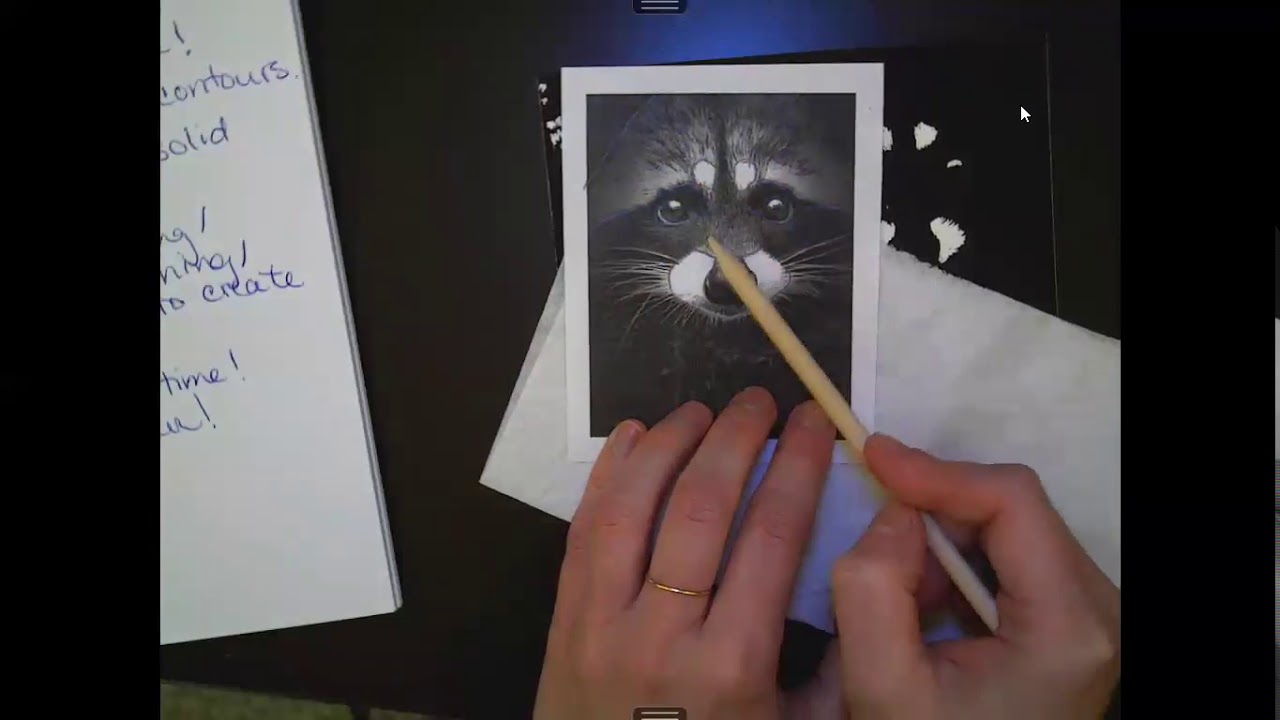 Mini Raccoon Scratchboard