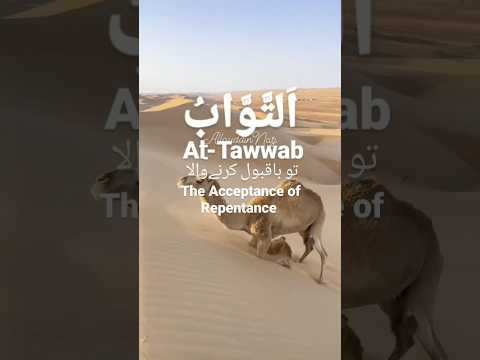At-Tawwab meaning in English and Urdu #shorts #islam