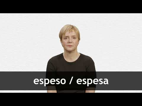 English Translation of “ESPESO” | Collins Spanish-English Dictionary