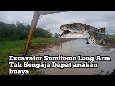 Excavator Sumitomo Long Arm Membersihkan Danau/Sumitomo long arm excavator clears the lake