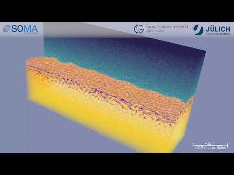 Polymer membrane fabrication via solvent evaporation