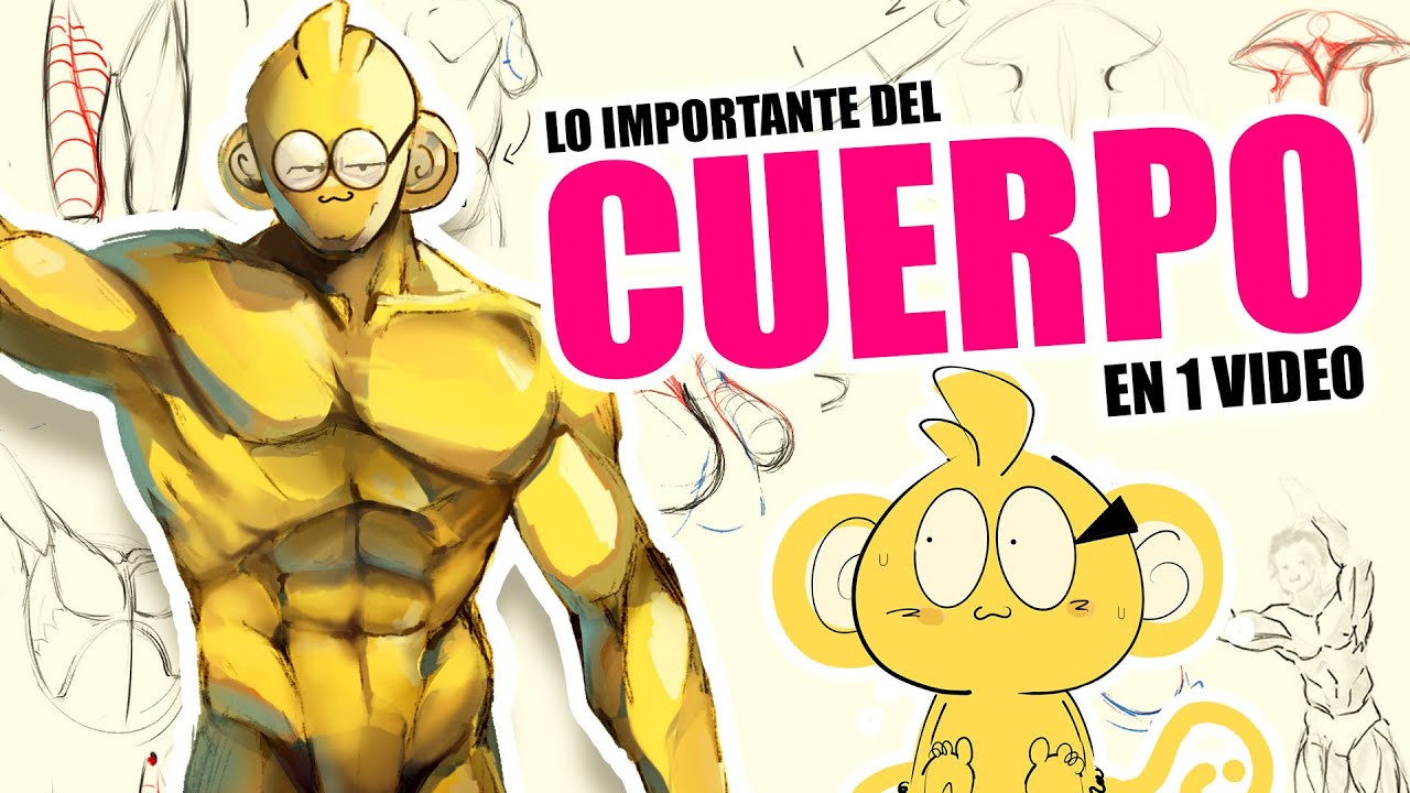 How to Improve Basic Anatomy - A Guide for Artists