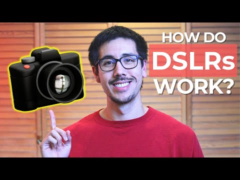 What is a DSLR Camera and How Does it Work?