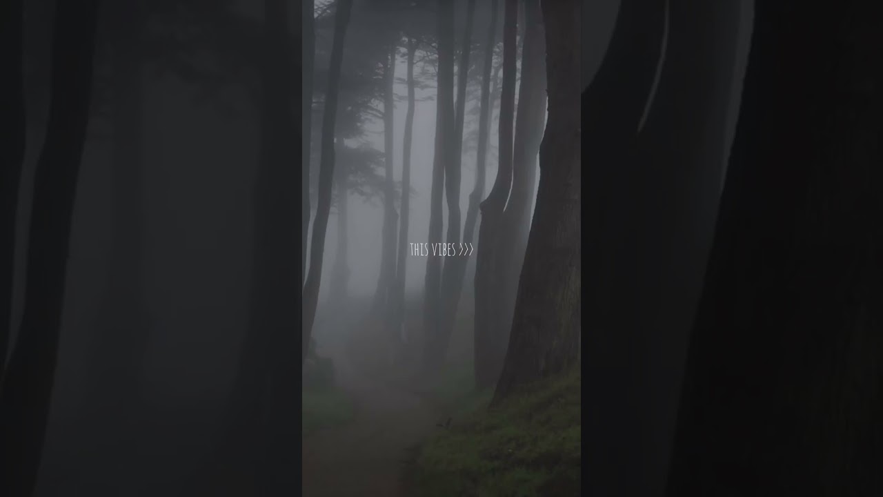 Dark Green Aesthetic | Find your aesthetic with me!! |  mochibubble