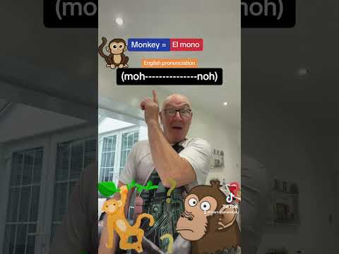 Learn Spanish - #shorts - MONKEY in Spanish - #Youtubeshorts - Spanish Lessons