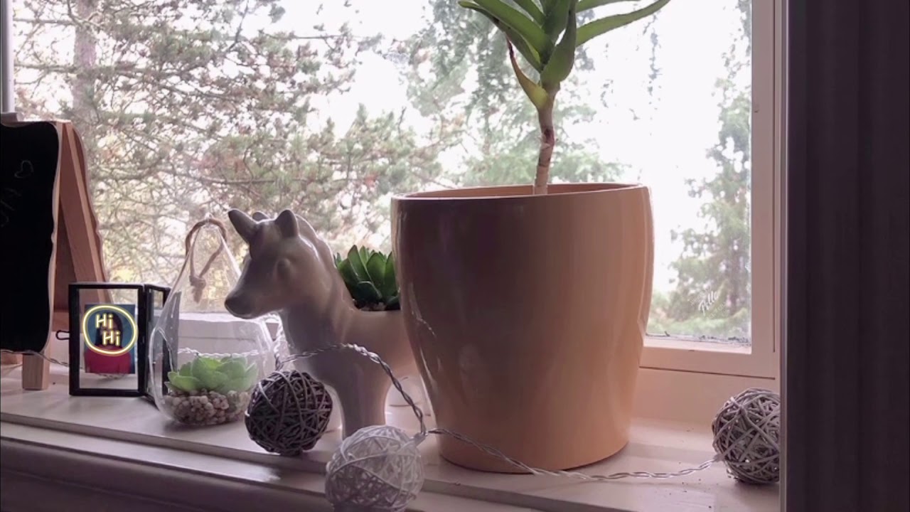 Ideas for CAS Projects