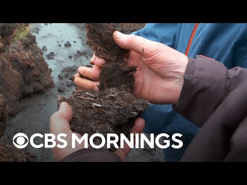 Scotland's peat bogs recognized for their vital role in storing carbon