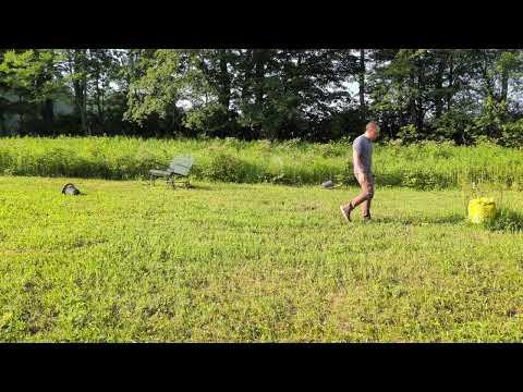 Learning Commanche style shooting