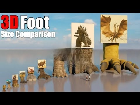 MONSTROUS 3D Feet Size Comparison You Won'tBelieve 🦖