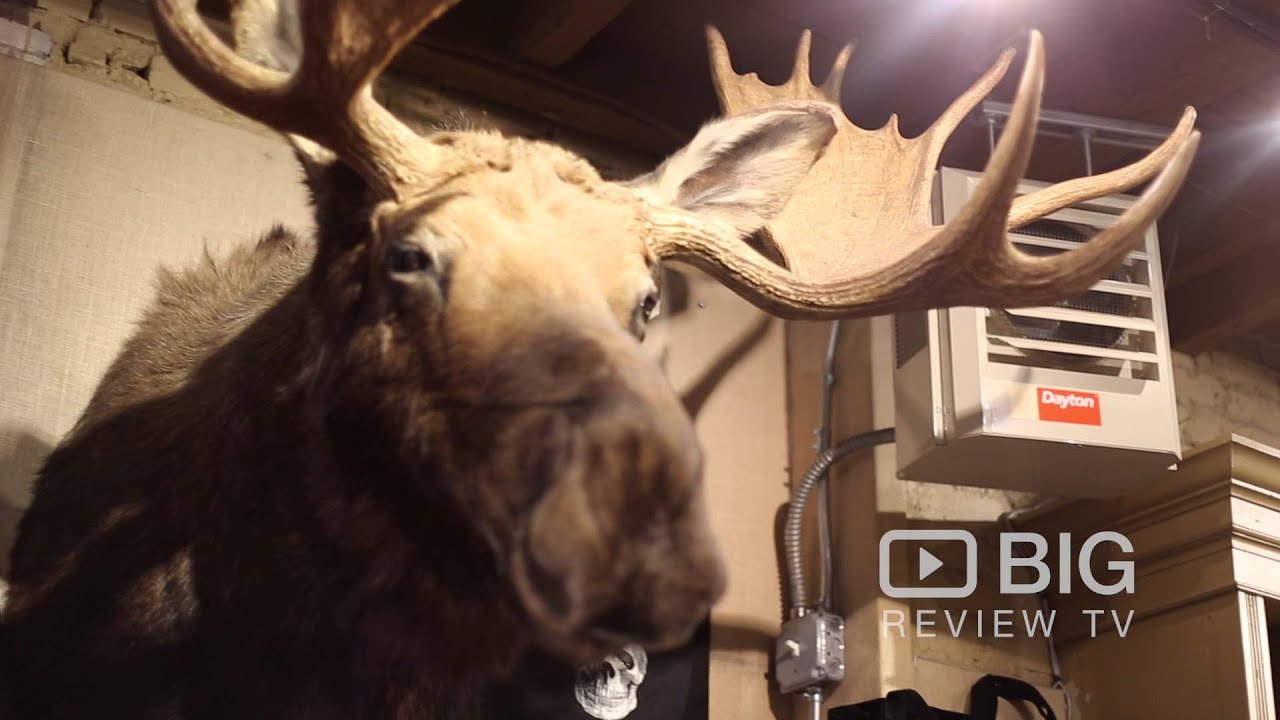 The Evolution Store in New York NY offering Artifacts, Collectibles and Gifts