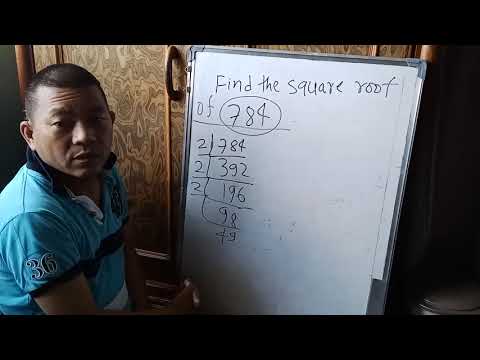 Find the square roots of 784