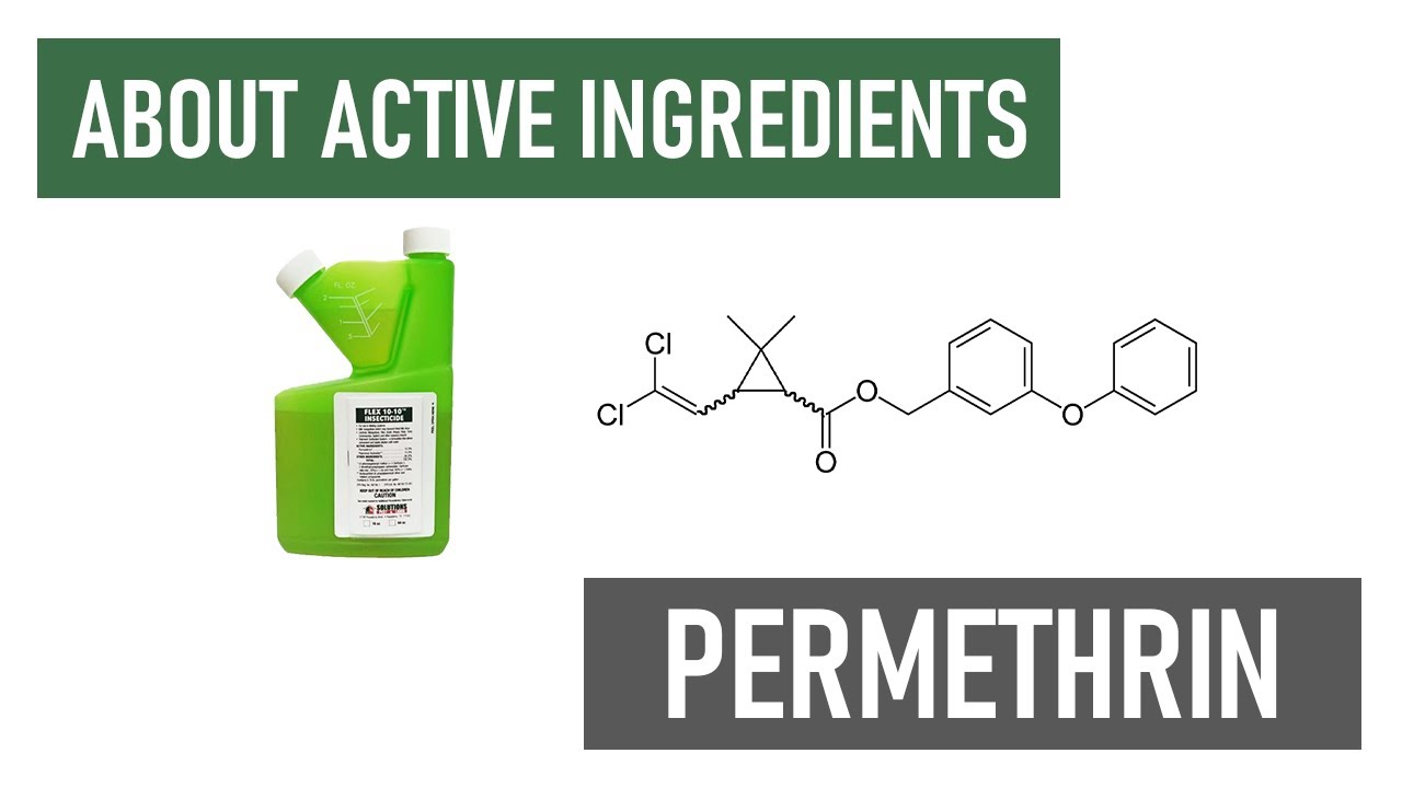 Permethrin | Solutions Pest & Lawn
