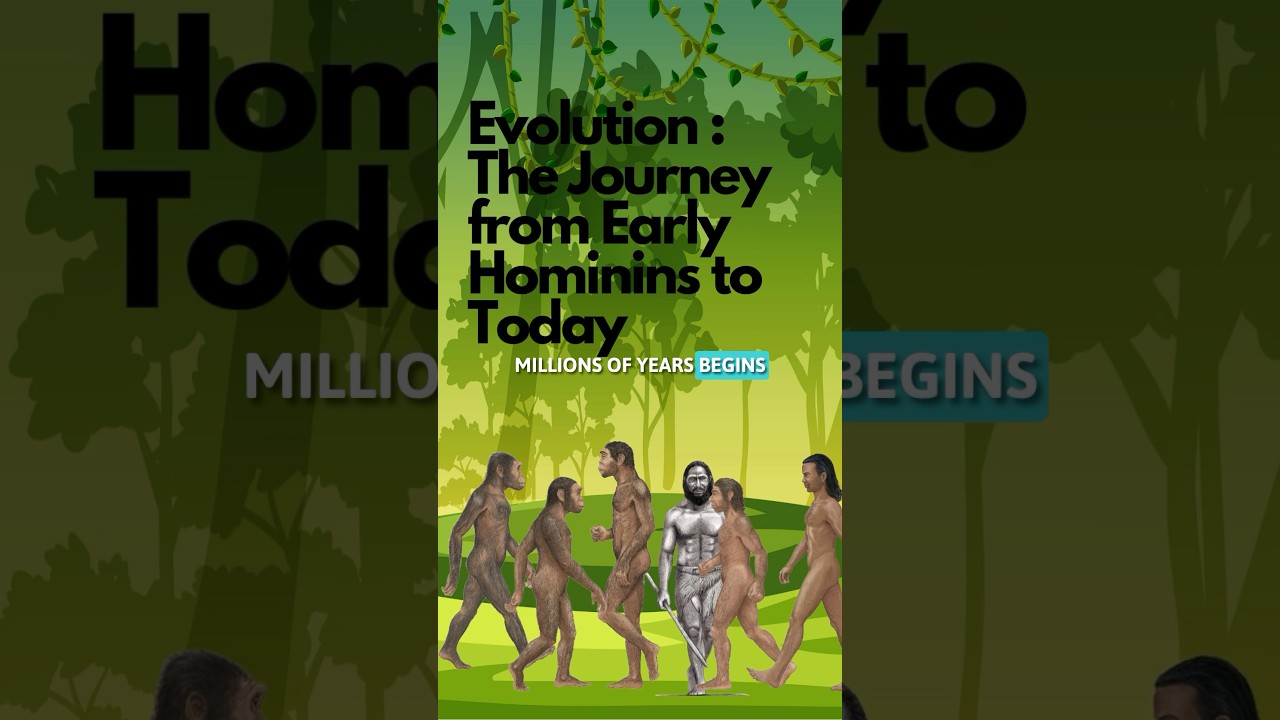 Human Evolution in 60 Seconds