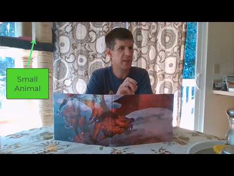 Perception in DnD 5e Playing, problems and alternates