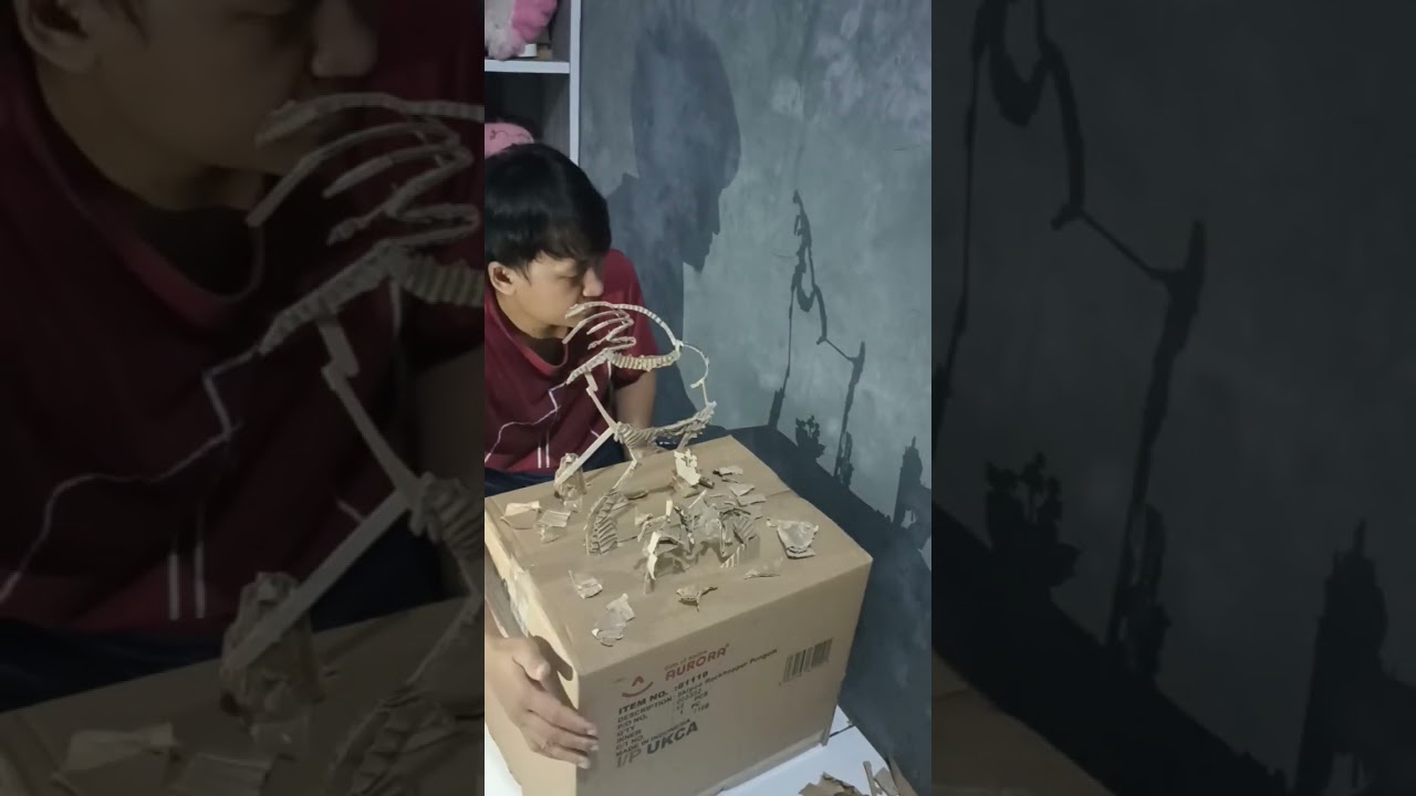 Bayangan dari kardus || shadow art from cardboard  #diy #daurulang  #kuronushi #shadowart