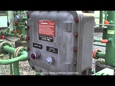 Explosion Proof Enclosures - Ignition Proof Enclosure Latest Price ...