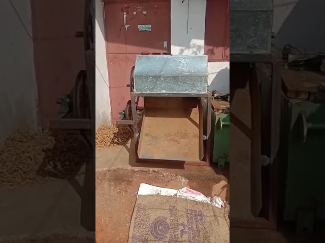 Turmeric polishing machine - 50 KPH Turmeric Polishing Machine ...