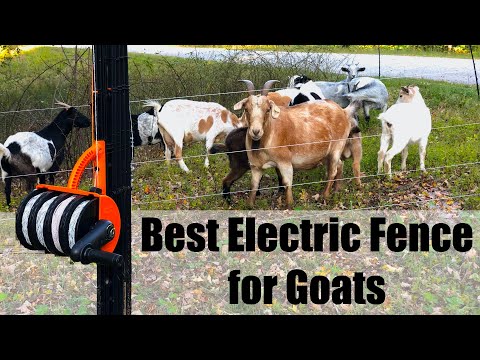 Best Portable Electric Fence for Goats - Gallagher Smart Fence