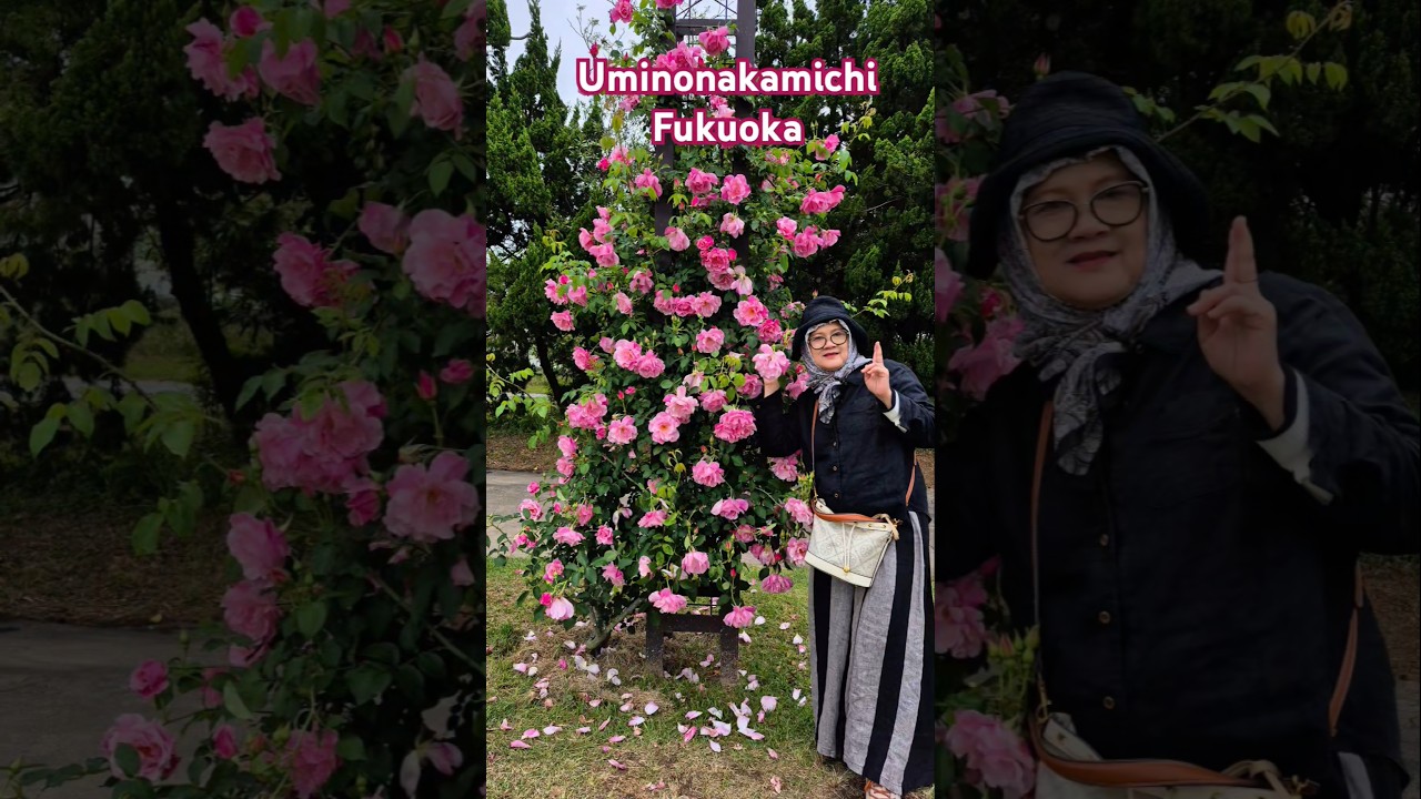 #travel #japan #flowers 