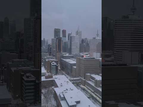 Snowy Sunday Toronto Family Day Weekend 2025 #canada #snow #toronto #snowday #winter