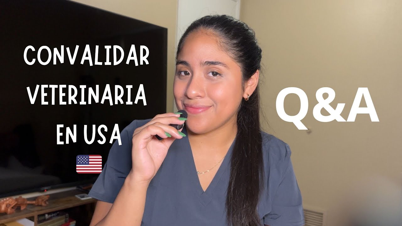 CONVALIDAR VETERINARIA EN USA I Q&A, paso a paso