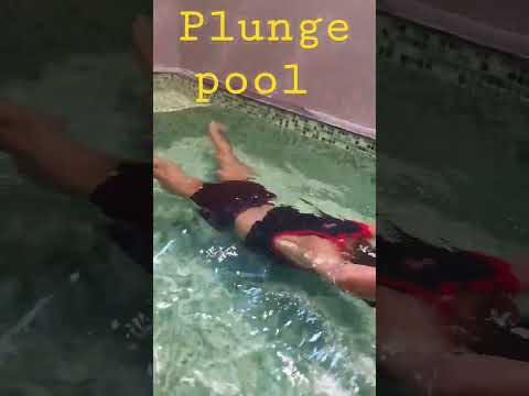 #plunge #pool #in #hotel #room #ramnagar #uttrakhand