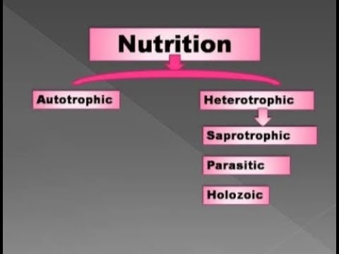 TYPES OF NUTRITION/ AUTOTROPHIC & HETEROTROPHIC NUTRITION/CBSE/CLASS 10/CHAPTER 6/LIFE PROCESSES