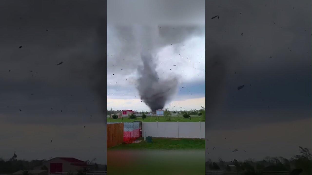 #illustration #attoo #art #pov #procreate #drawing#whydidntmyexcomeback