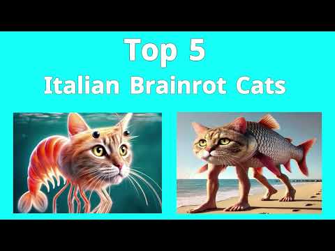 Top 5 Italian Brainrot Cats