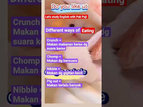 another words of eat #toefl #english #ielts #bahasainggris #speaking #viral #fyp #shorts #shortfeed