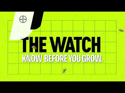 Corn Rootworm Pressure is Rising. Are You Tracking It?