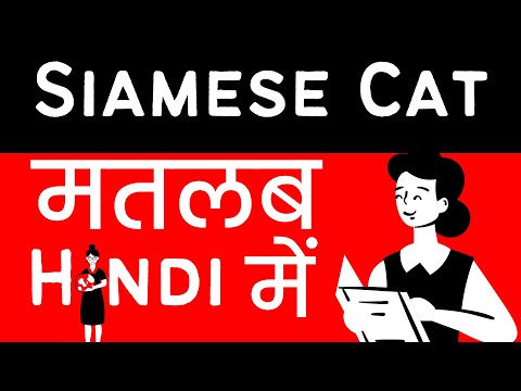 Siamese Cat Meaning in Hindi/Urdu | Meaning of Siamese Cat | Siamese Cat ka matlab? |