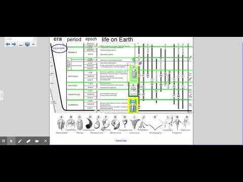 Earth Geologic History ESRTs