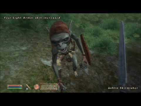 TES 4: Oblivion [059] Sins of the Father