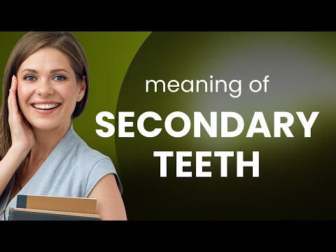 Understanding "Secondary Teeth": A Guide for English Learners