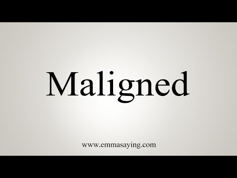 How To Say Maligned